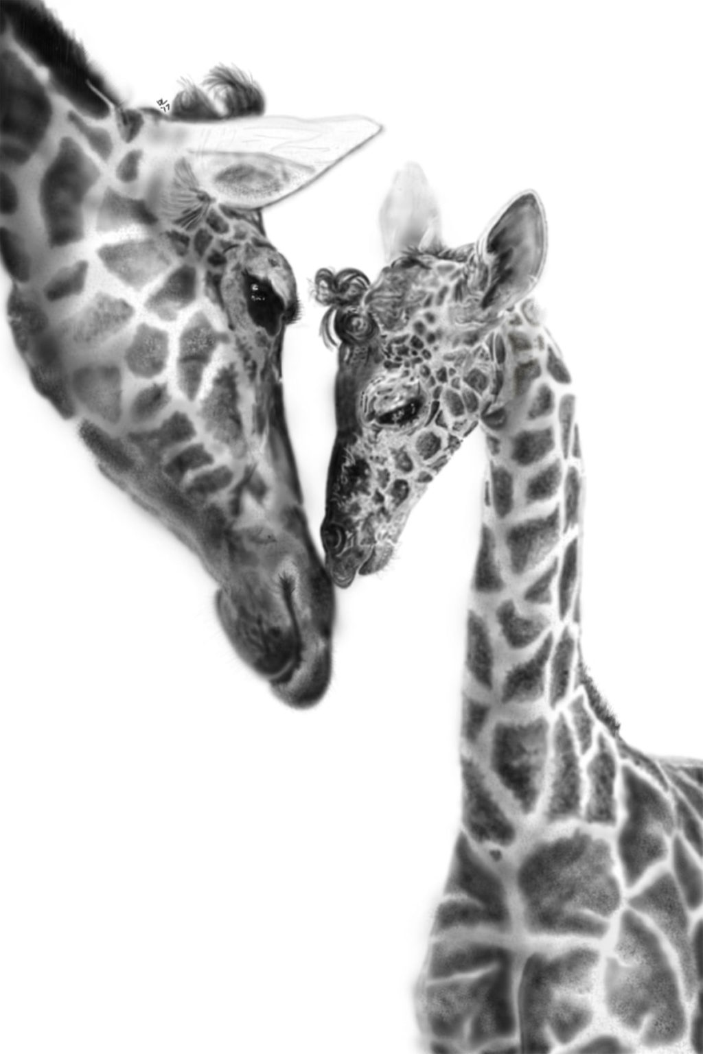 Interview With Author/Illustrator Donald Lloyd | Ellwyn Autumn